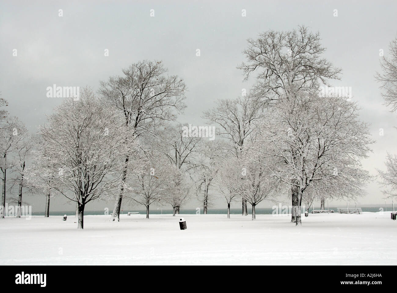 Winter scene after a wet snowfall Michigan Stock Photo - Alamy