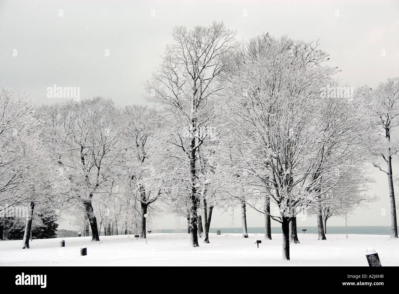 Winter scene after a wet snowfall Michigan Stock Photo - Alamy