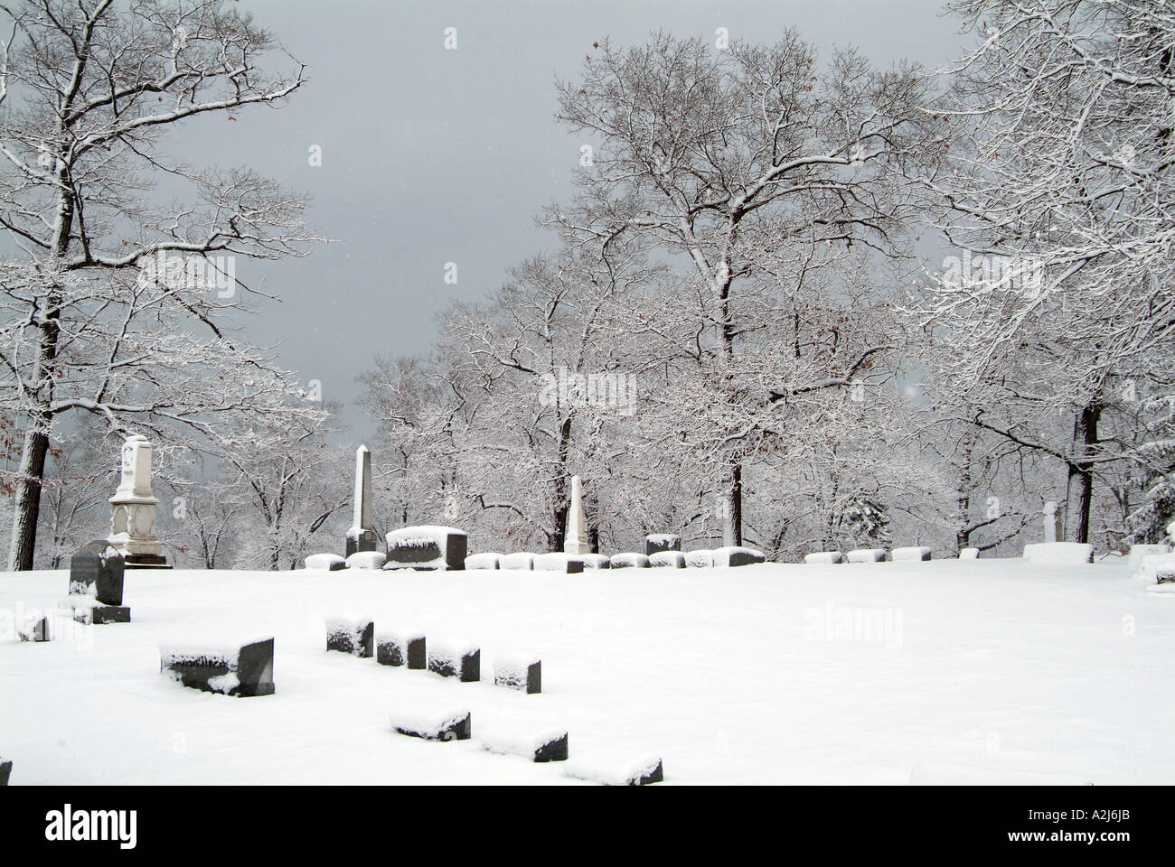 Winter scene after a wet snowfall Michigan Stock Photo - Alamy