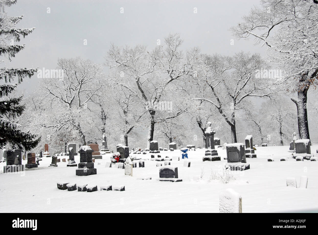 Winter scene after a wet snowfall Michigan Stock Photo - Alamy