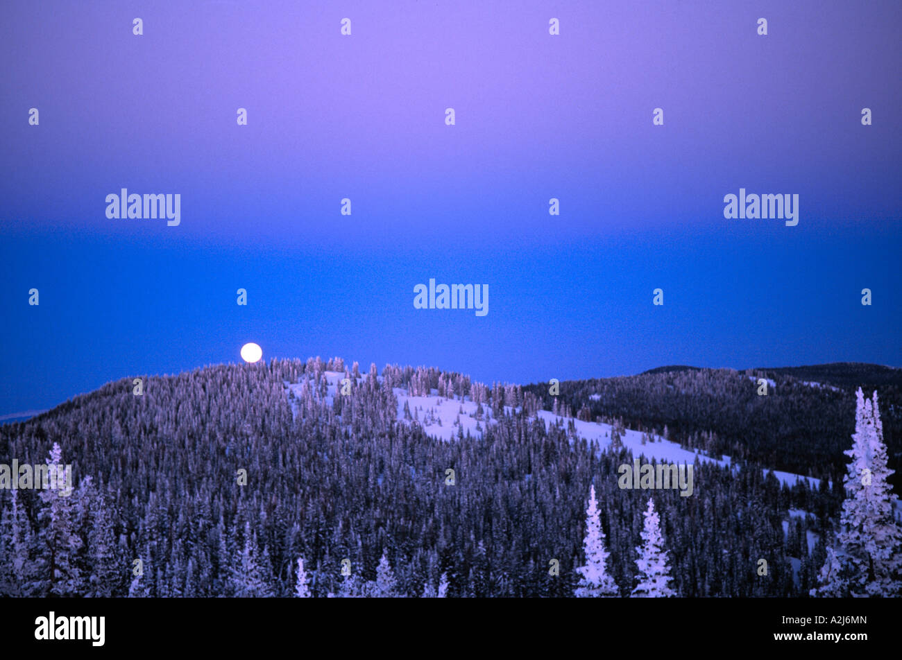 Moonrise over Routt National Forest Steamboat Springs Colorado USA ...