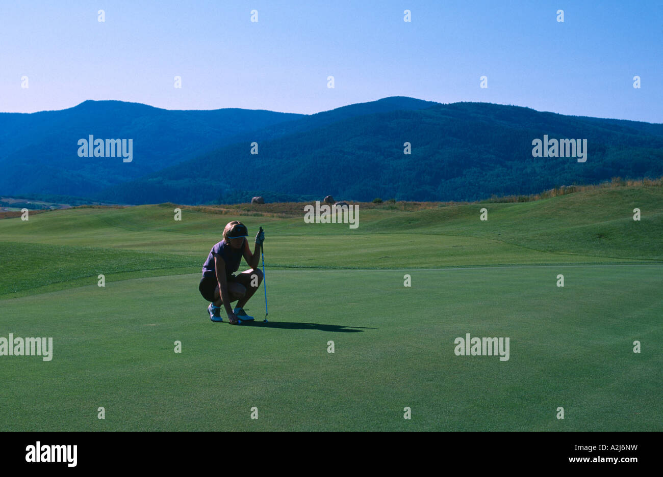 Golfer lining up a putt Haymaker golf course Steamboat Springs Colorado ...