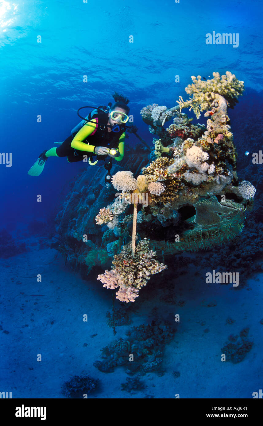 Diver Explores Southern Red Sea Wreck Stock Photo - Alamy