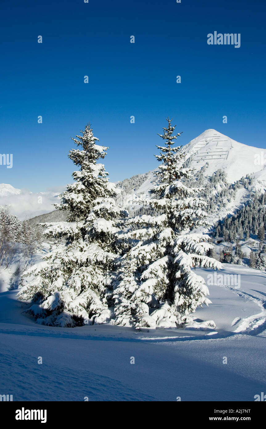 Winter alpine landscape with ski tracks in deep snow Stock Photo - Alamy