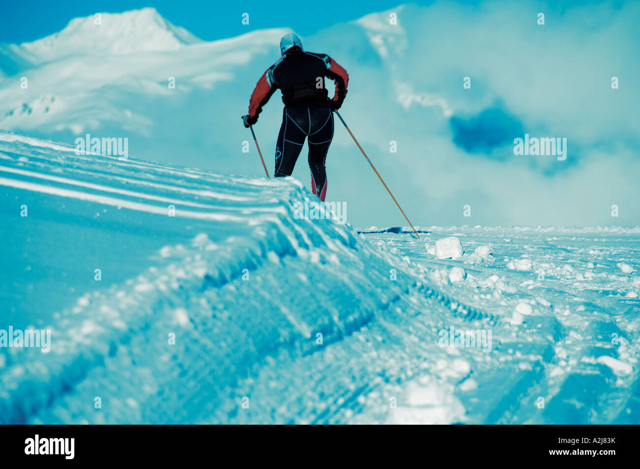 Back view of cross country skier on a prepared piste Stock Photo - Alamy