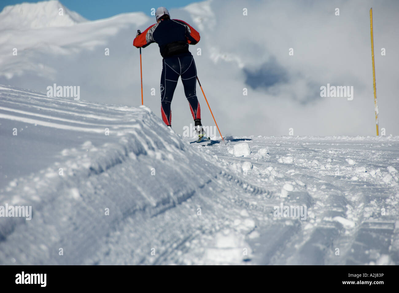 Back view of cross country skier on piste Stock Photo - Alamy