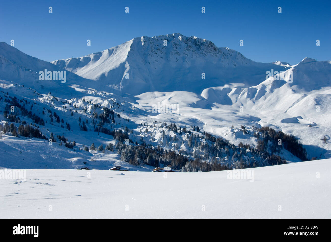 Winter scenic landscape with snowfield, forest and snow covered ...