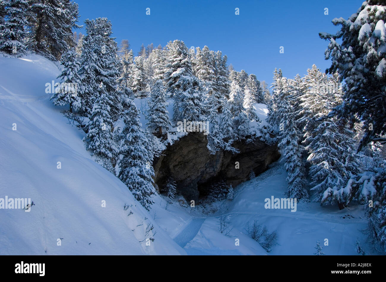 Snow covered trees surrounding a steep rock face in shadow Stock Photo ...