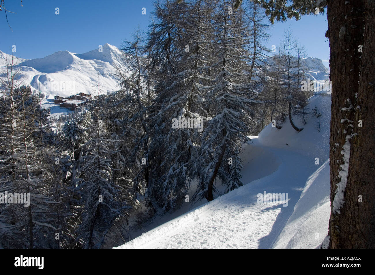 Winter scenic landscape with snow covered pine trees set in steep snow ...
