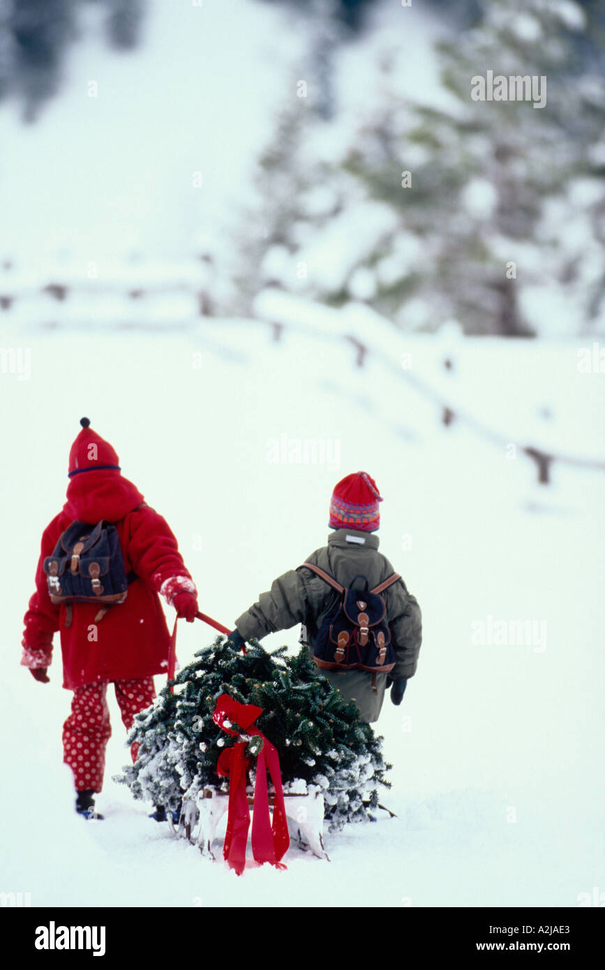 Kids pulling christmas tree hi-res stock photography and images - Alamy