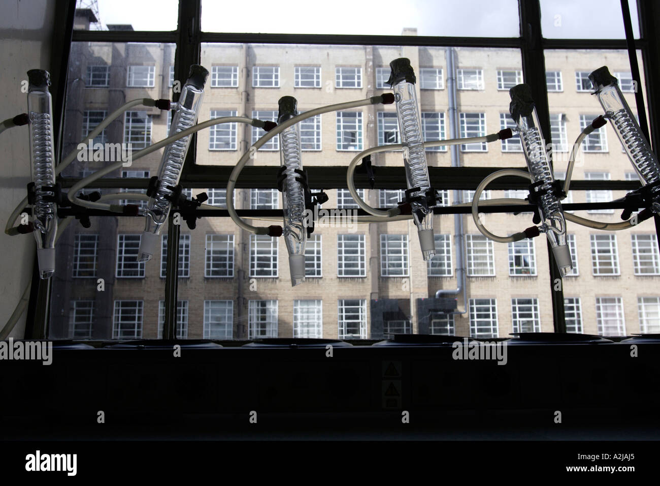 A line of viles and pipettes pictured during an experiment in a UK ...