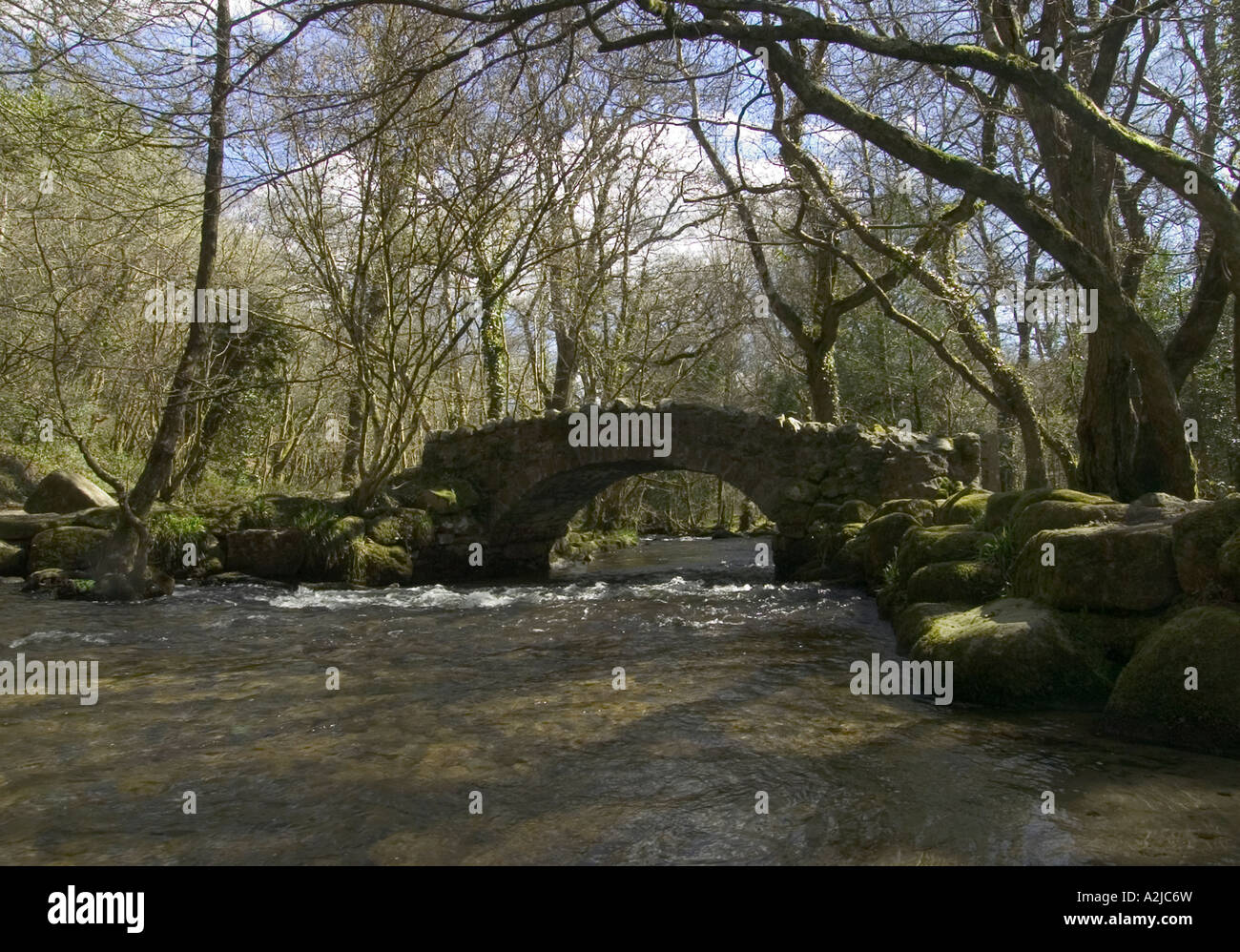 A stone bridge over the River Bovey on a spring day in Hisley Wood ...