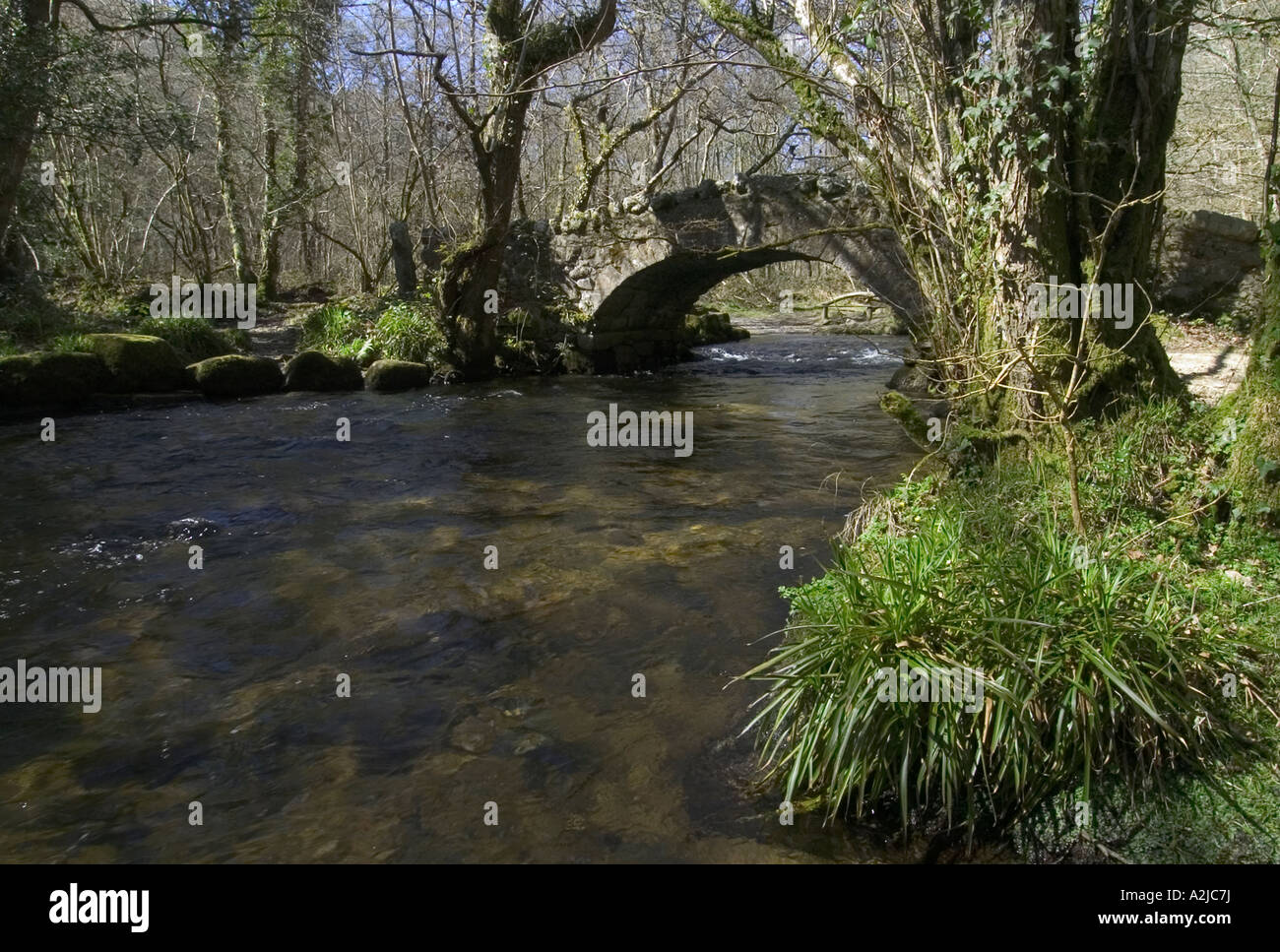 A stone bridge over the River Bovey on a spring day in Hisley Wood ...