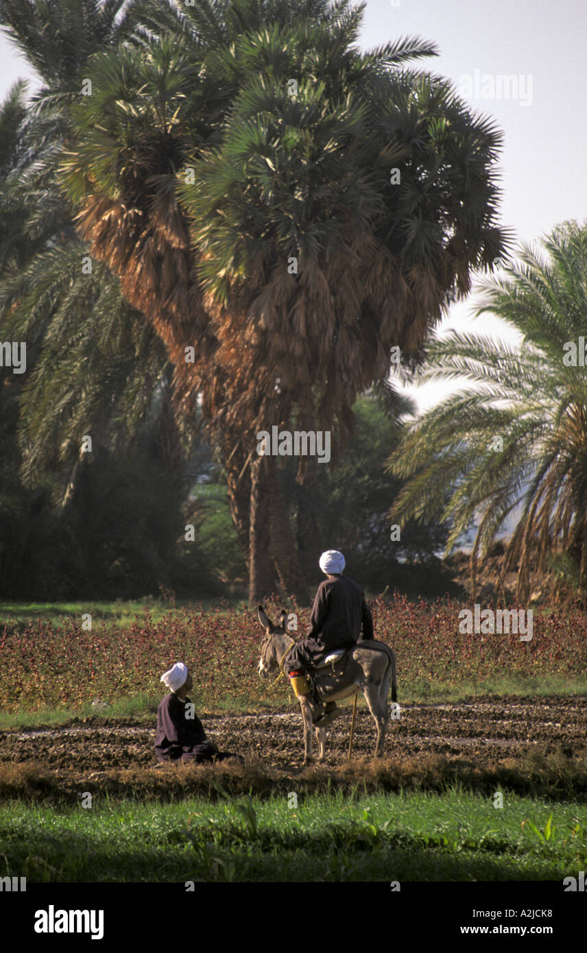 Local egyptians hi-res stock photography and images - Alamy
