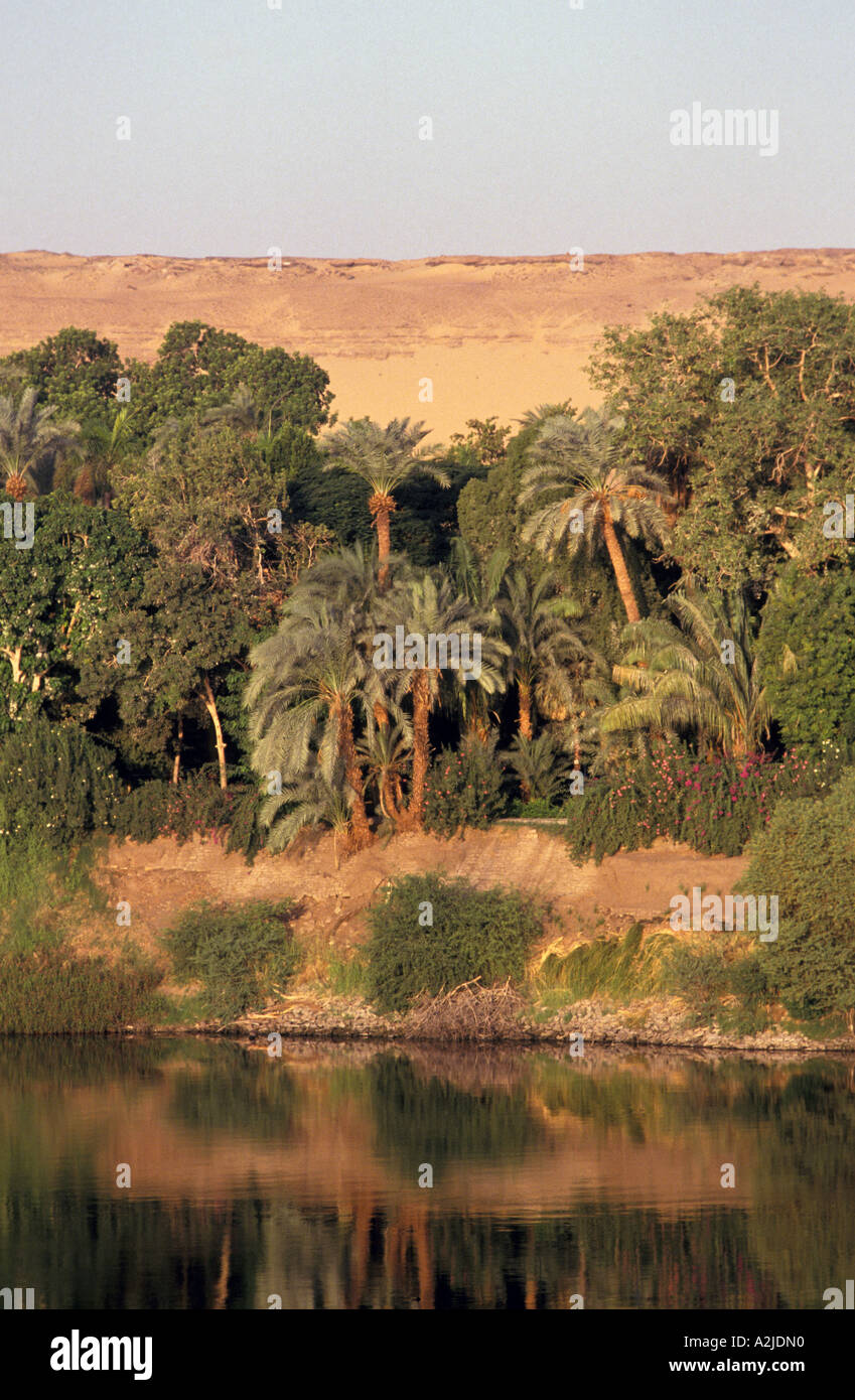 Africa, Egypt, Aswan. Nile River at Aswan Stock Photo - Alamy