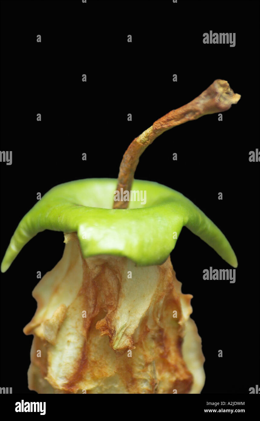 Rotten Apple Core Stock Photo - Alamy