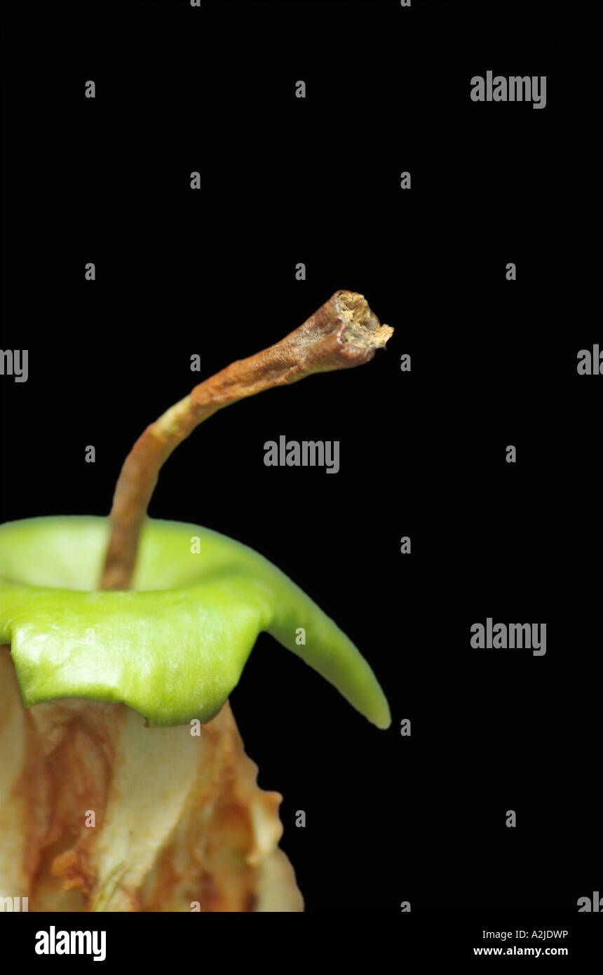 Rotten Apple Core Stock Photo - Alamy
