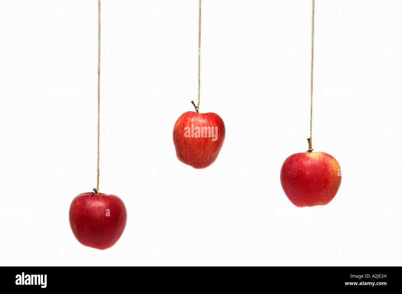 Apples suspended from string, white background Stock Photo - Alamy