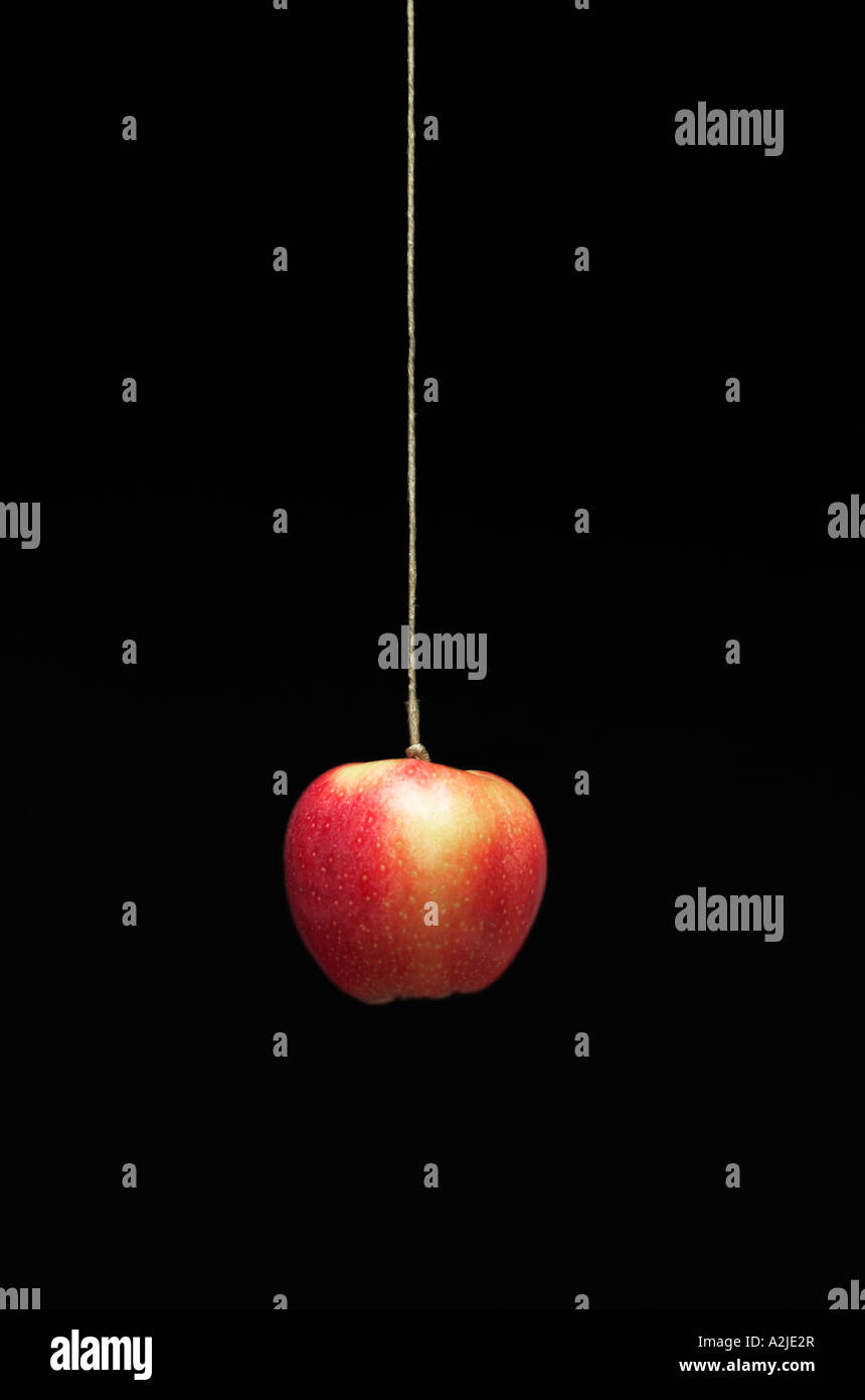 Apple suspended from string, black background Stock Photo - Alamy