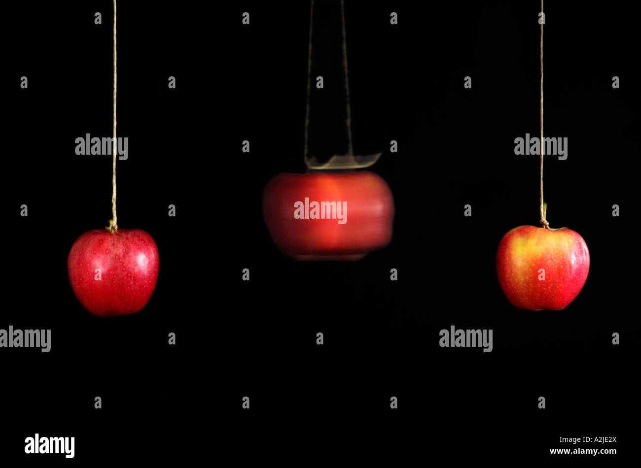 Apples suspended from string, black background Stock Photo - Alamy