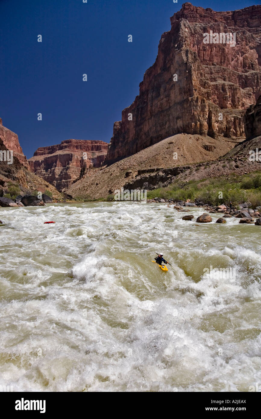 Amy Petterson kayaking down the Colorado river, Grand Canyon, Arizona ...