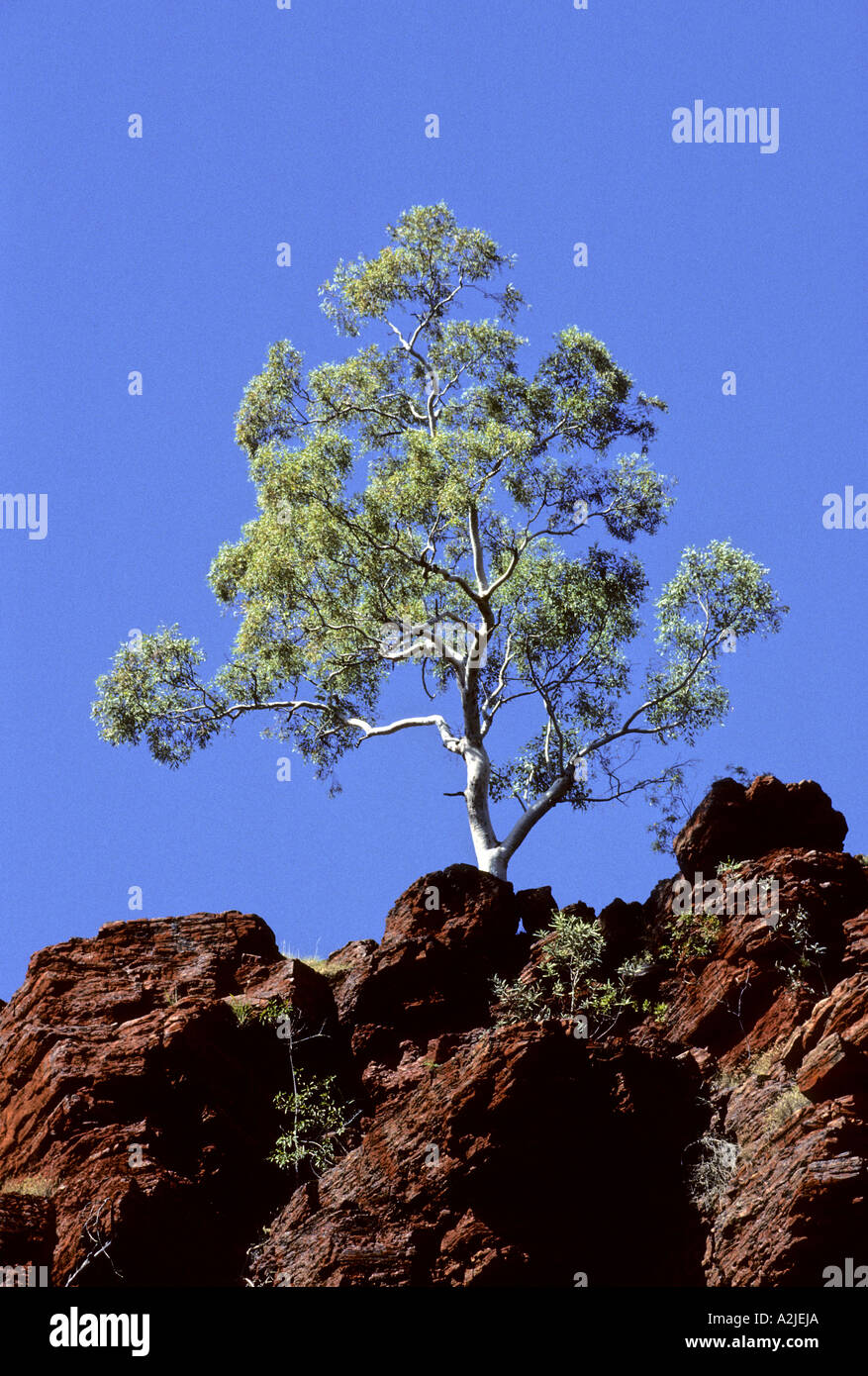 Hamersley ranges hi-res stock photography and images - Alamy