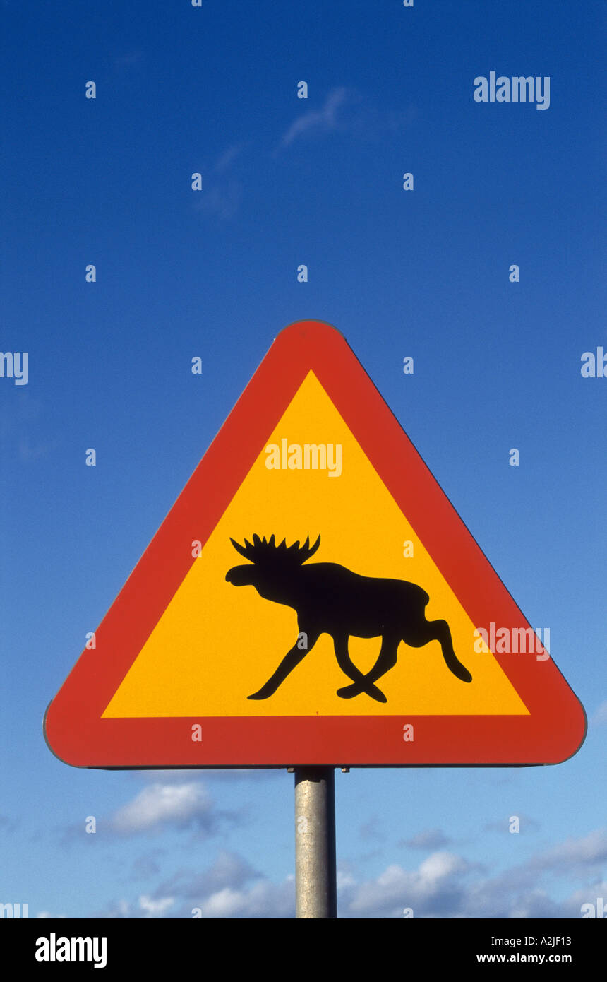 Sweden Road Sign Elk Stock Photo - Alamy