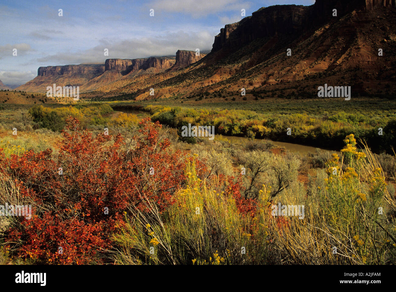 Dolores river canyon near Gateway, Colorado Stock Photo - Alamy