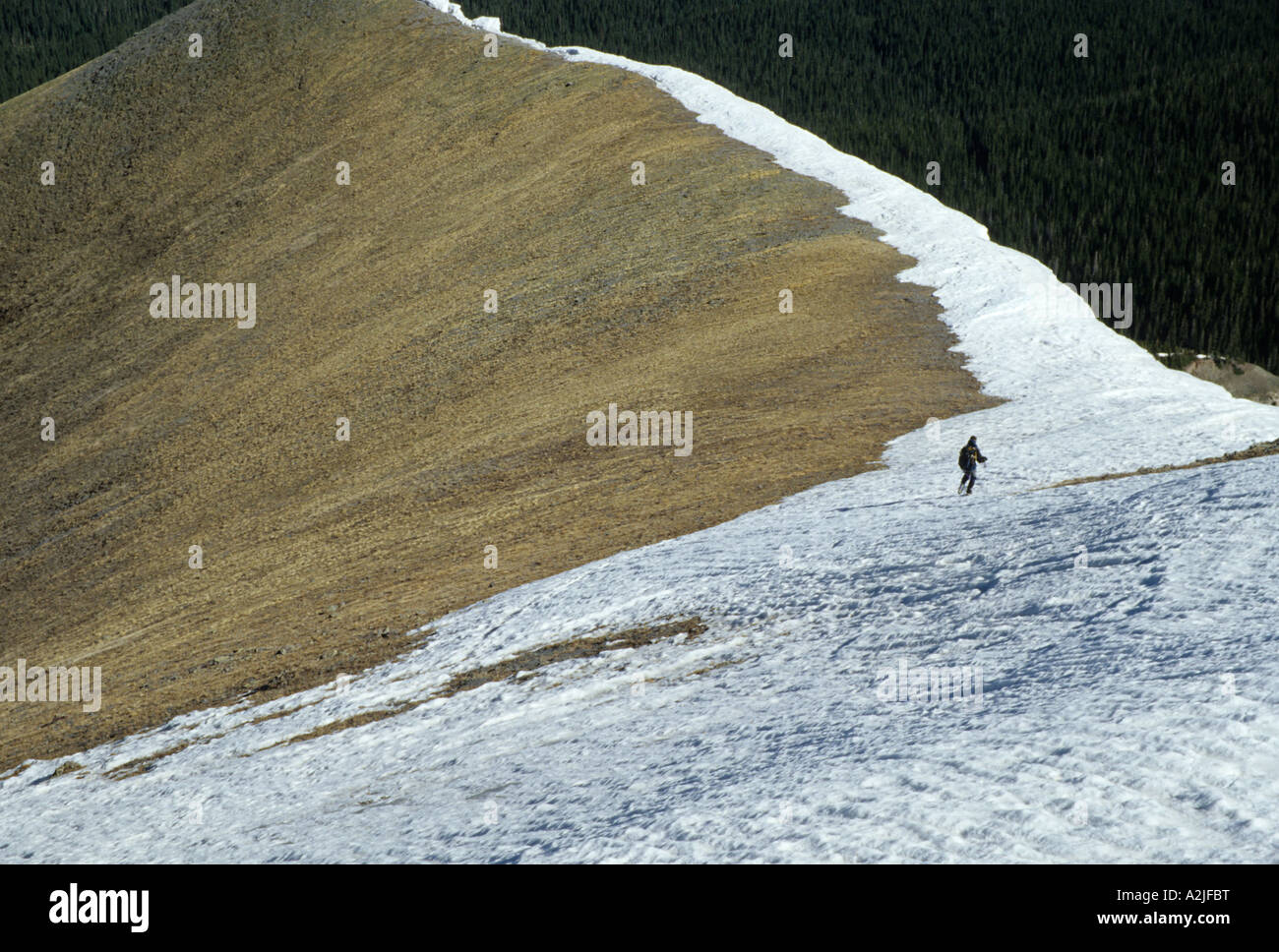 Mikel Dew going down Sheep Mountain near Trout Lake in the San Juan ...