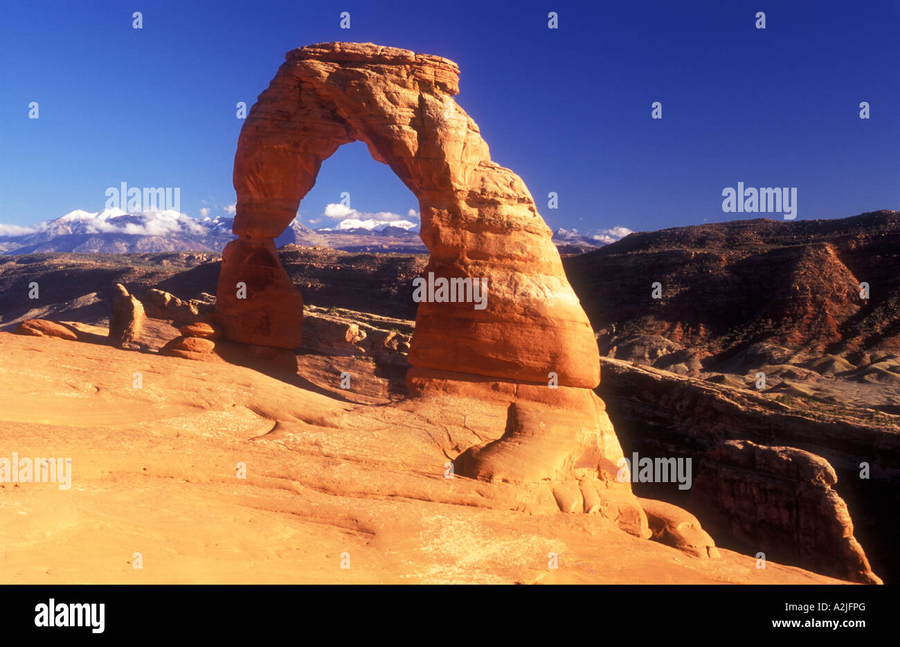 Environment national park hi-res stock photography and images - Alamy