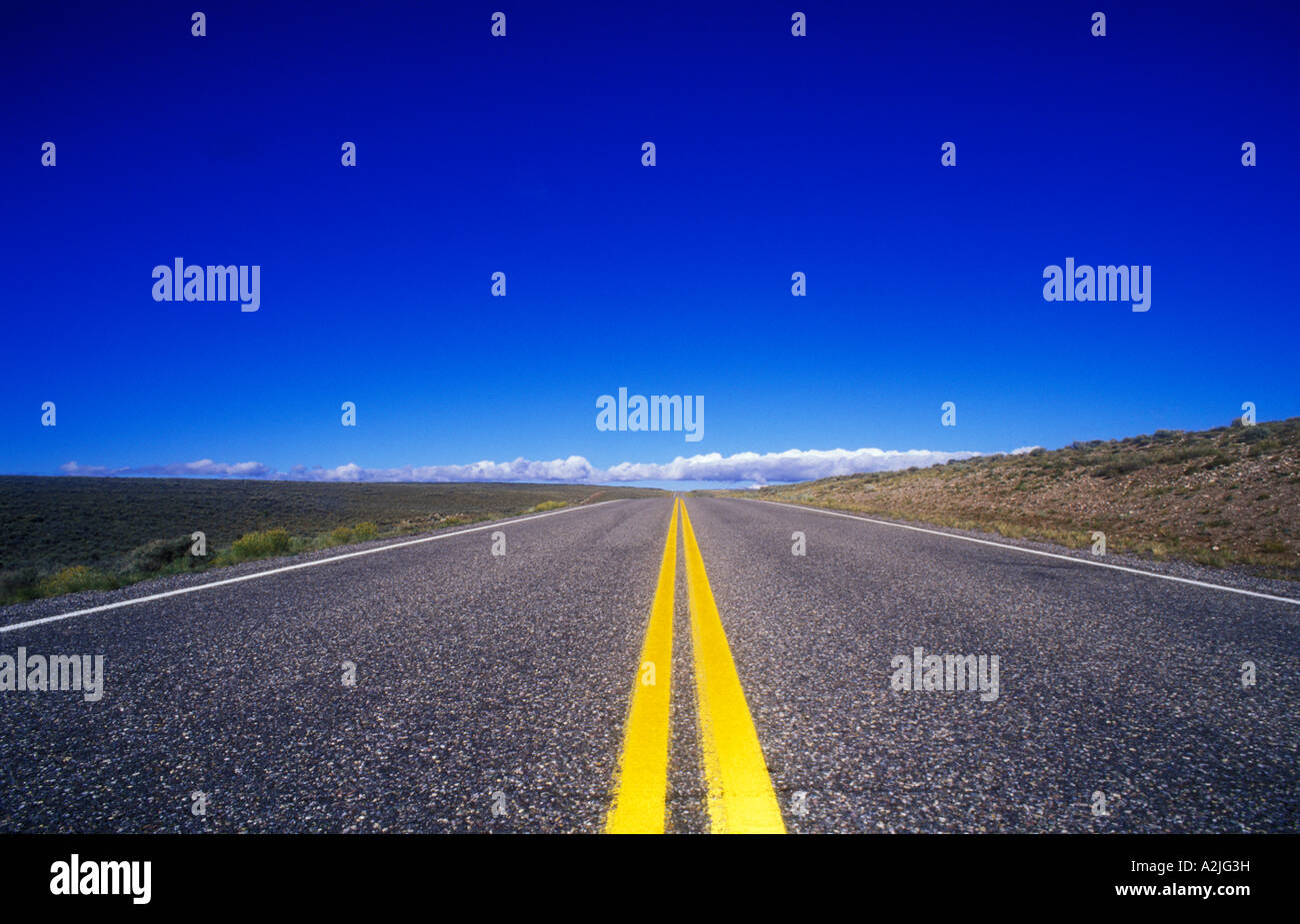 USA Utah road leading to horizon in the desert with bright yellow ...