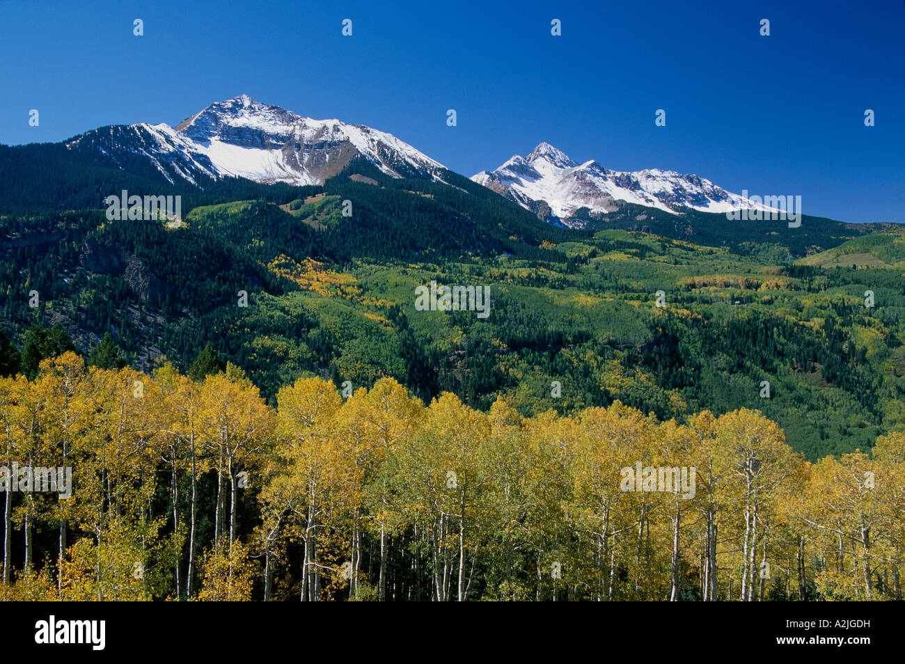 sunshine peak and wilson peak near telluride colorado Stock Photo - Alamy
