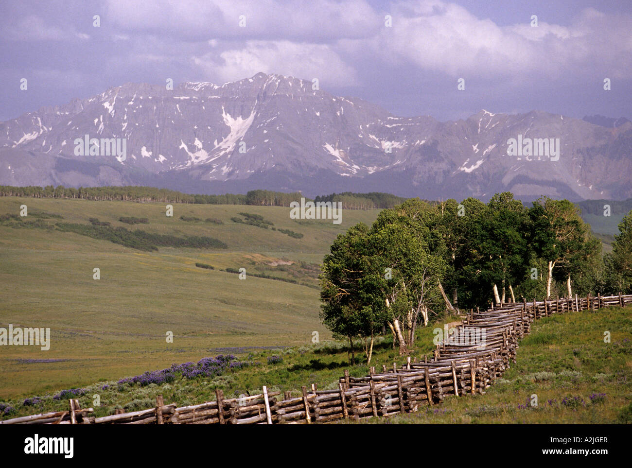 view from wilson mesa near telluride colorado Stock Photo - Alamy