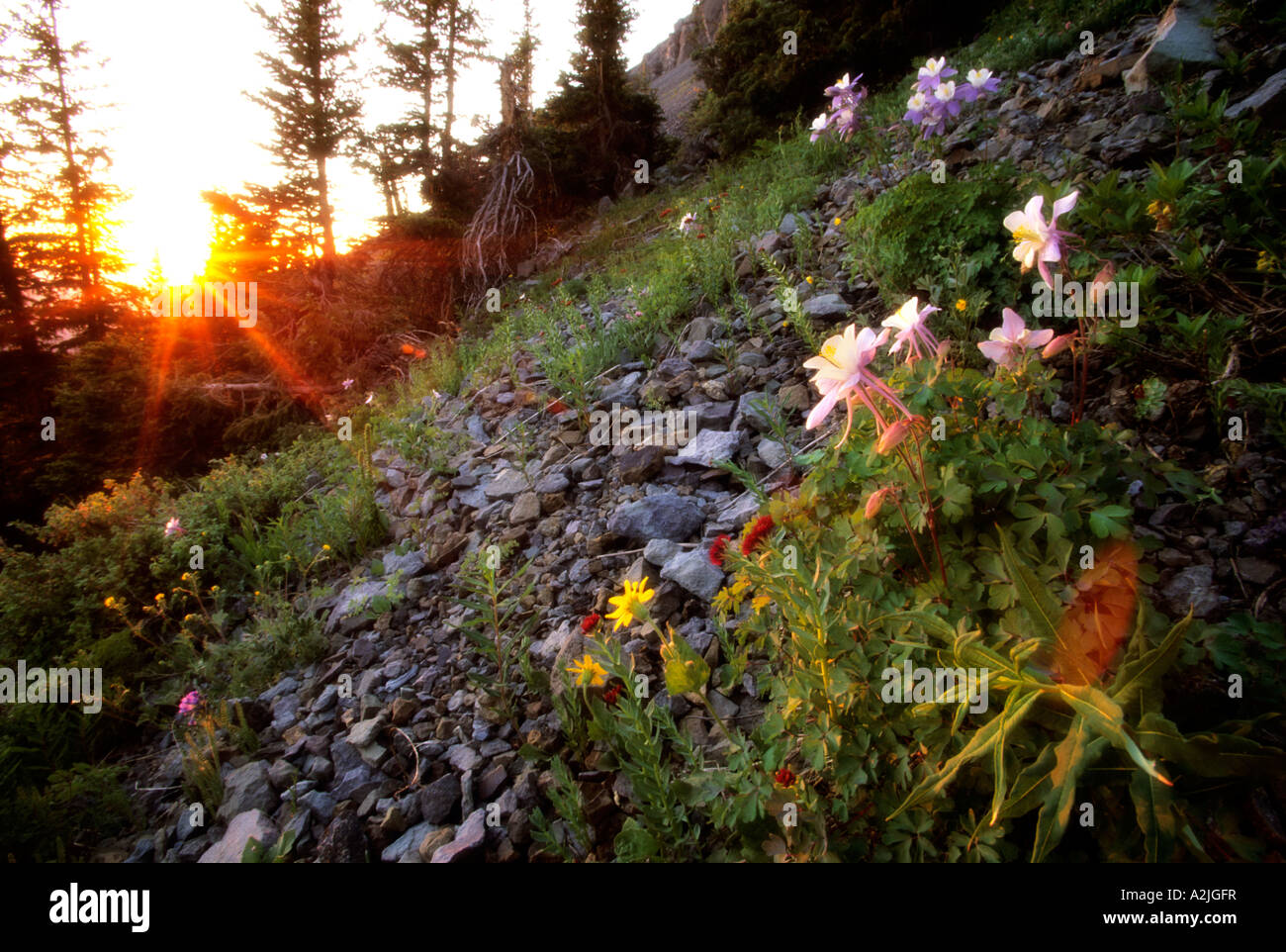 gold king basin near telluride colorado Stock Photo - Alamy