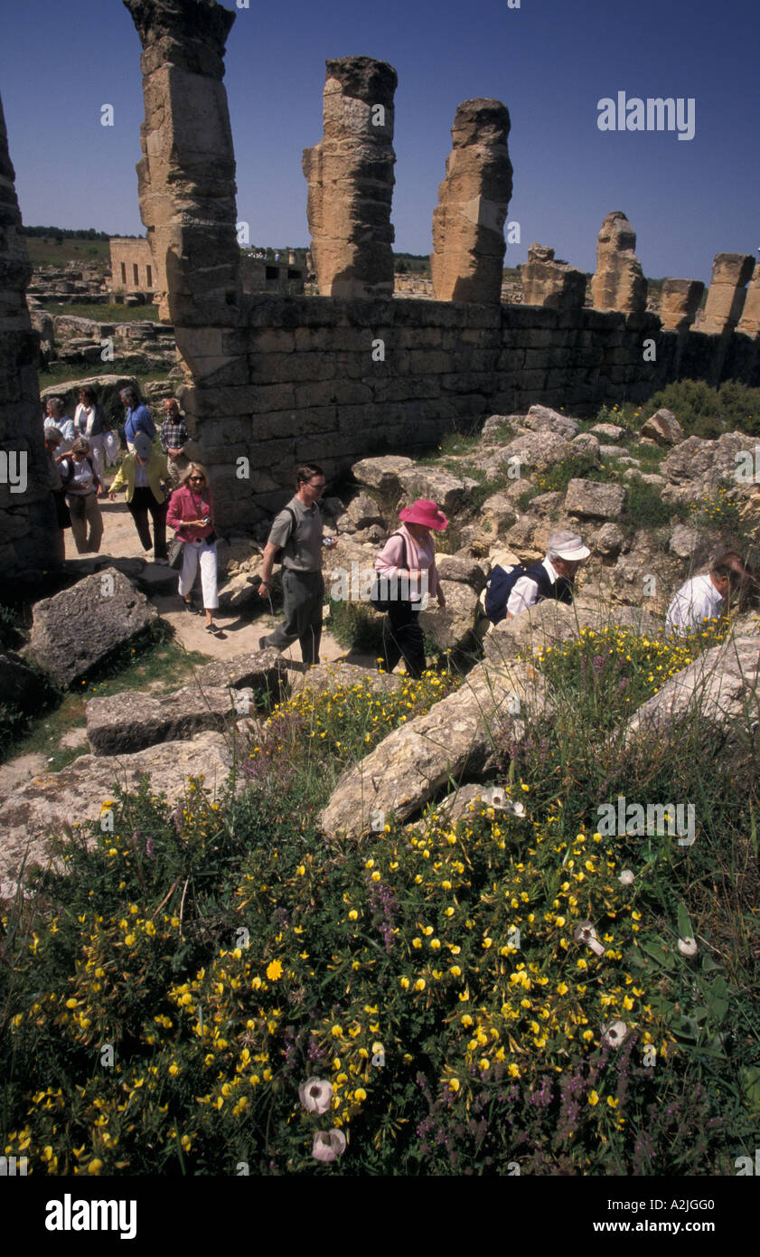Africa, Libya, Cyrene, Apollo temple and American tourists Stock Photo ...