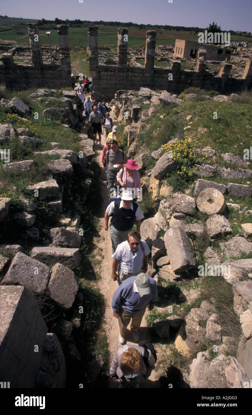 Africa, Libya, Cyrene, Apollo temple and American tourists Stock Photo ...