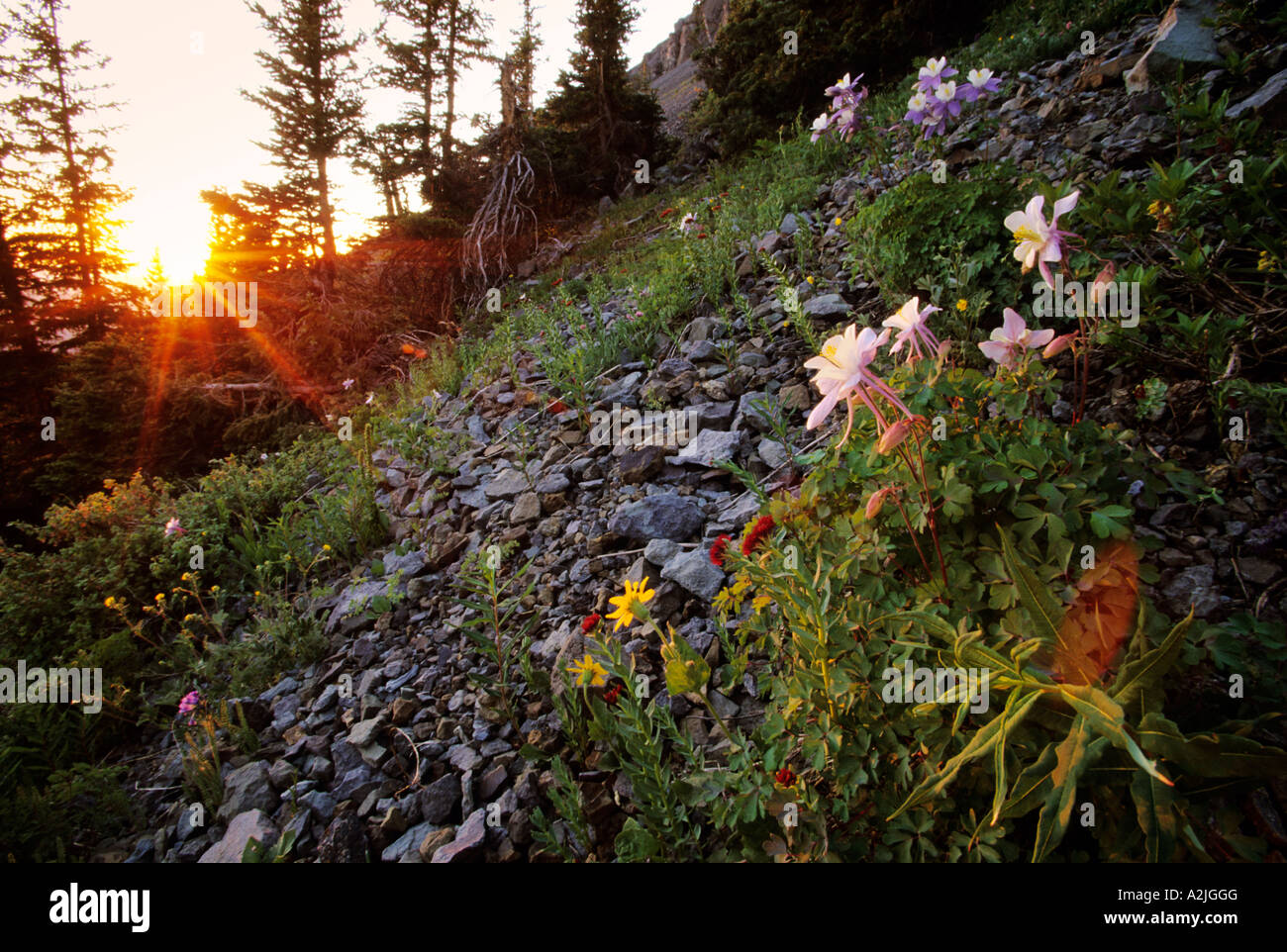 gold king basin near telluride colorado Stock Photo - Alamy