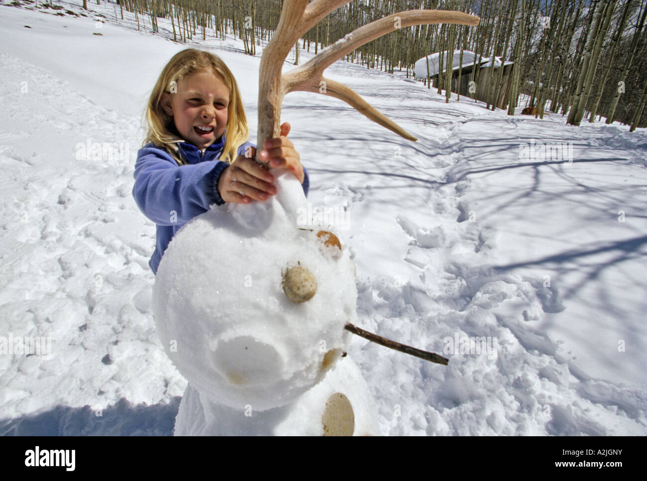 United states colorado ophir hi-res stock photography and images - Alamy