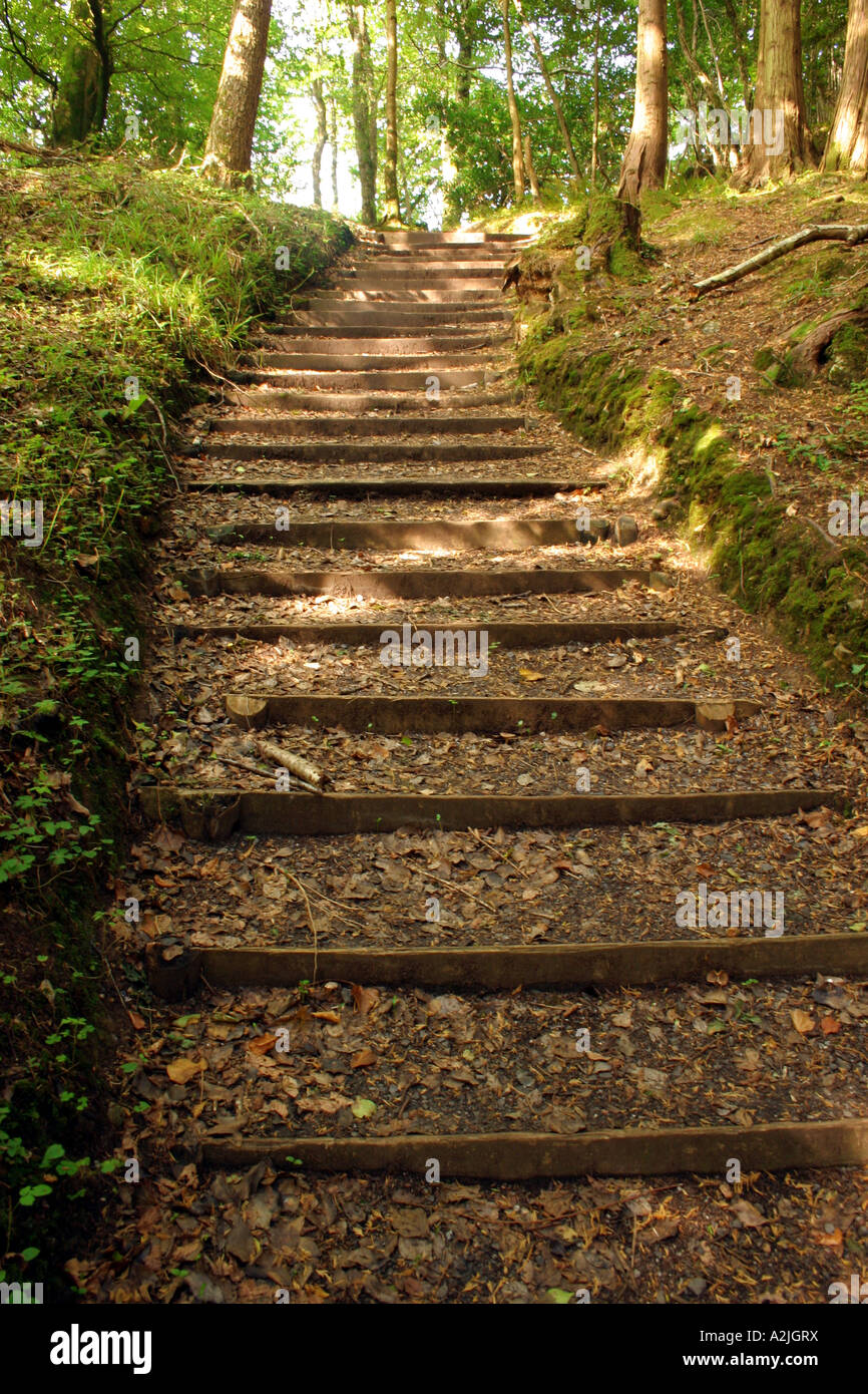 Great southern trail ireland hi-res stock photography and images - Alamy
