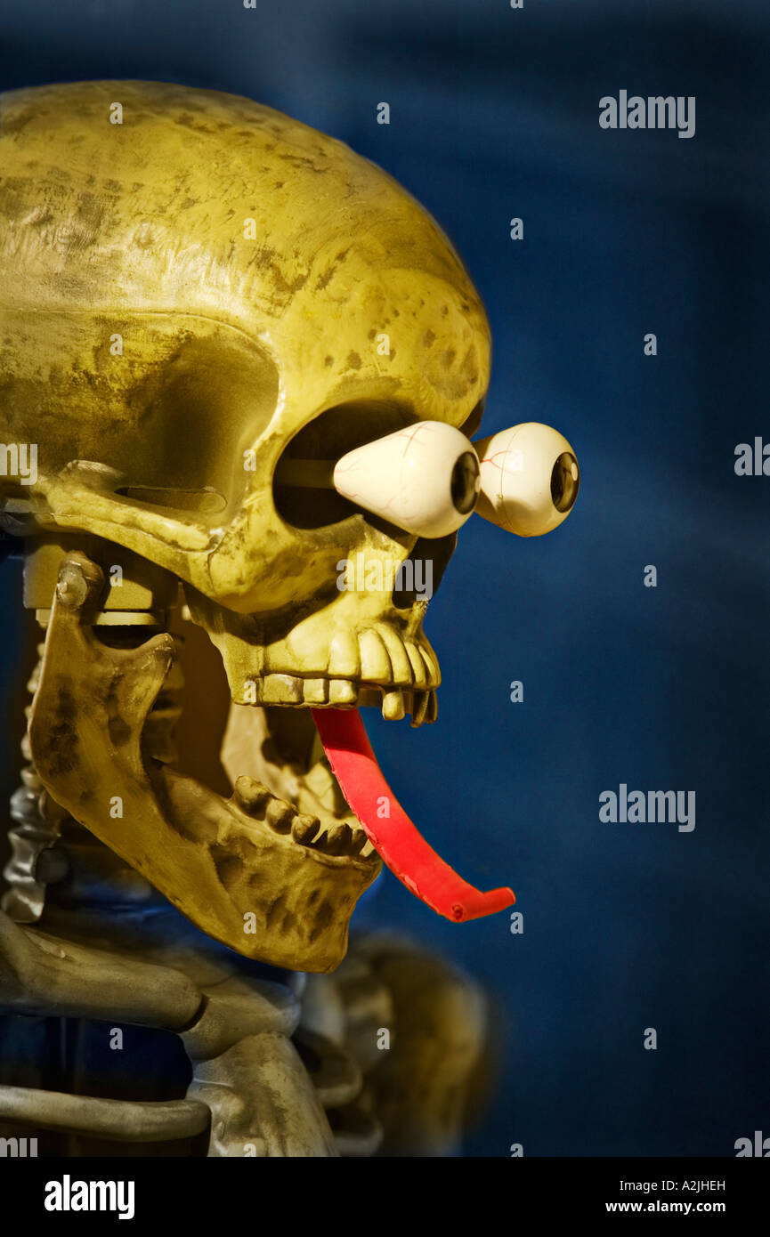 Skull surprised hi-res stock photography and images - Alamy