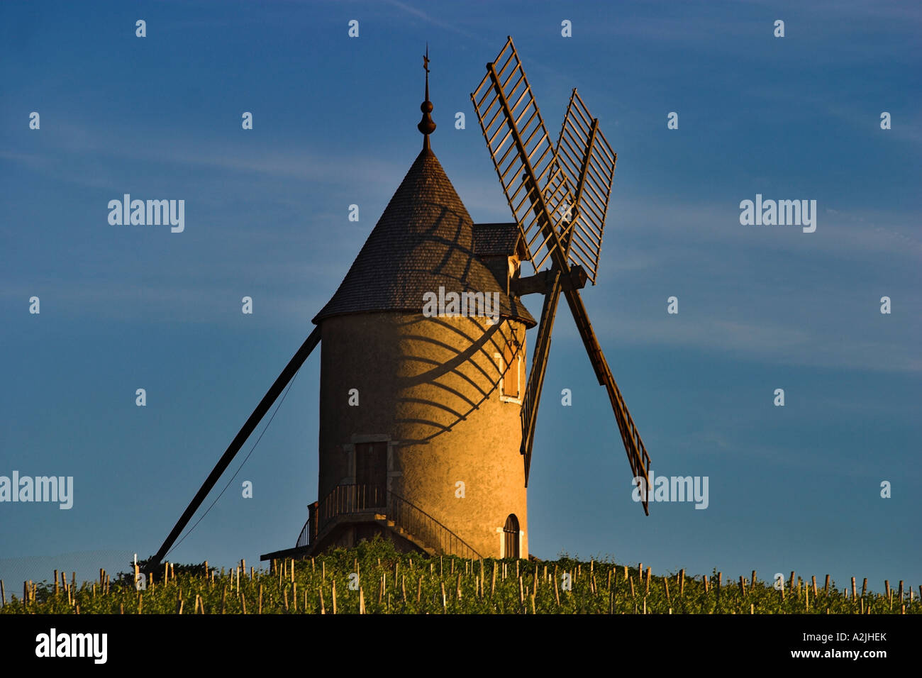 The windmill of Moulin a Vent in the Morning Light at Romanache Thorins ...