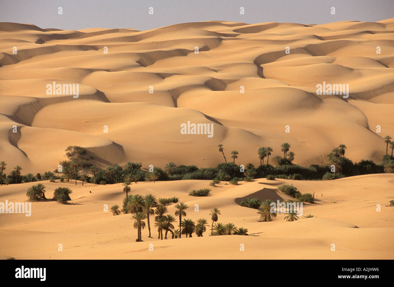 Ubari oasis hi-res stock photography and images - Alamy