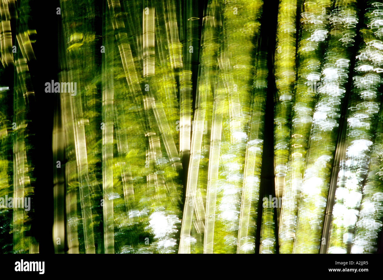 Vibrant burst red forms hi-res stock photography and images - Alamy