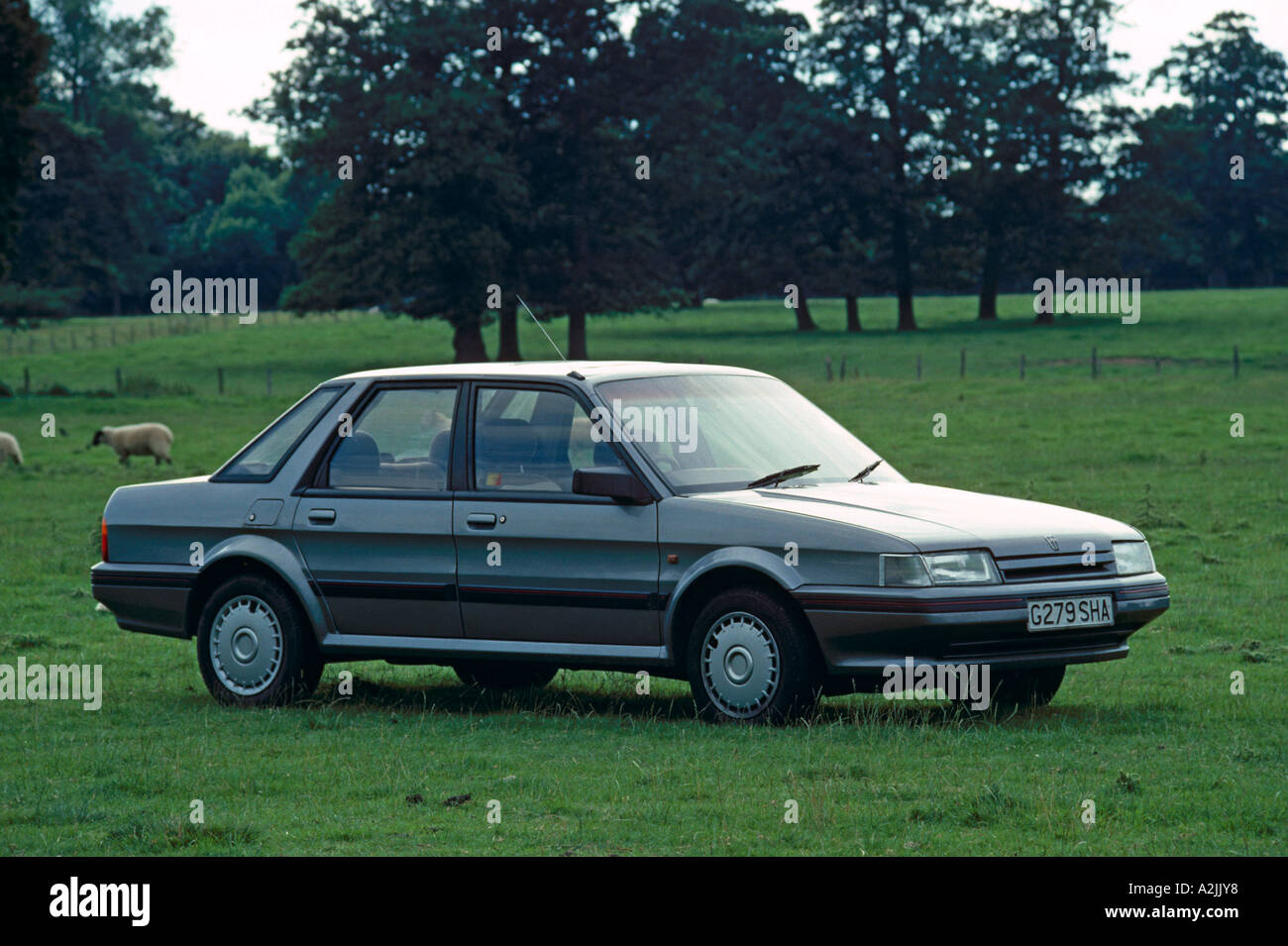 Rover Montego 1 point 6 L. Model years 1984 to 1994 Stock Photo - Alamy