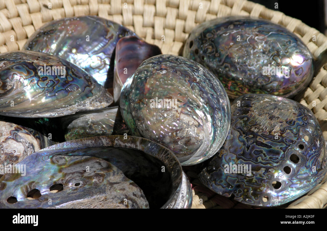 Pretty shells in a whicker basket for sale to tourists in Lanzarote ...
