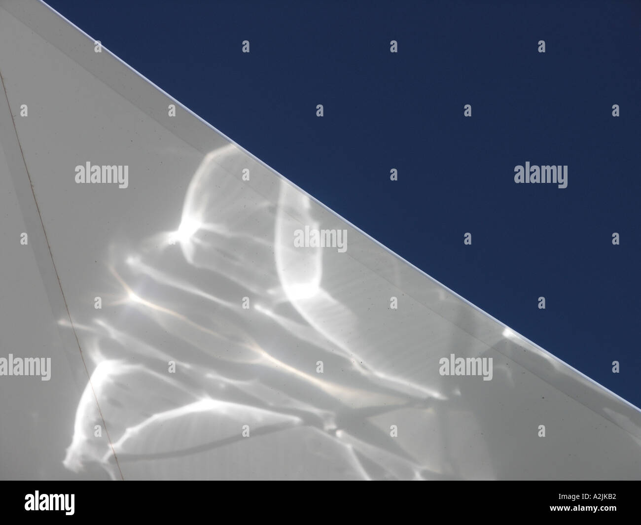 Bird sail hi-res stock photography and images - Alamy