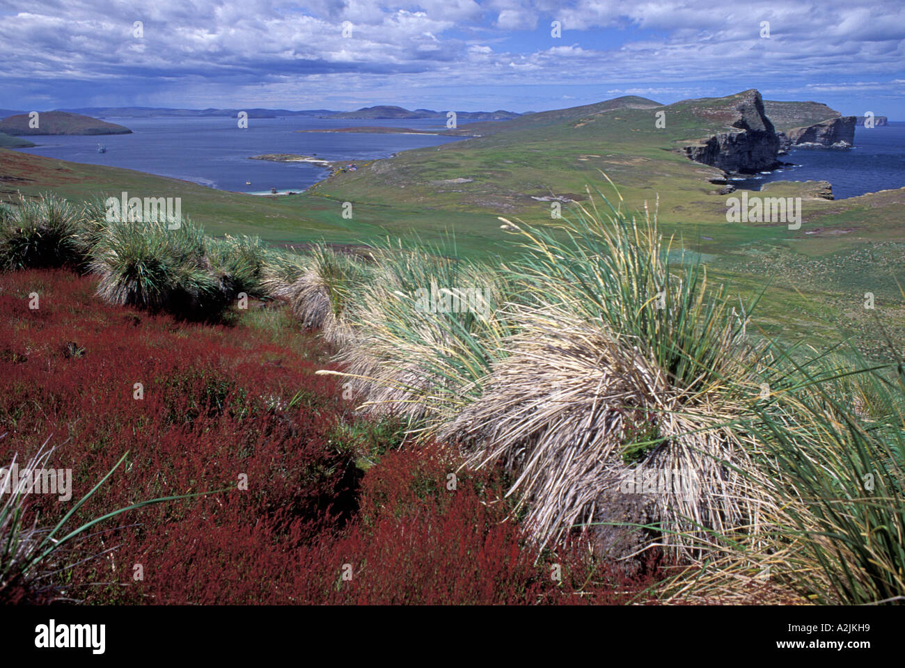 Antarctica, Sub-Antarctic Islands, South Georgia. Coastal landscape ...