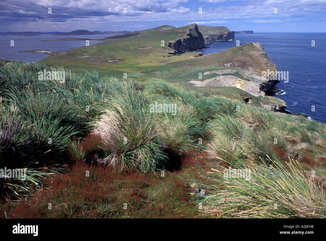 Antarctica, Sub-Antarctic Islands, South Georgia. Coastal landscape ...