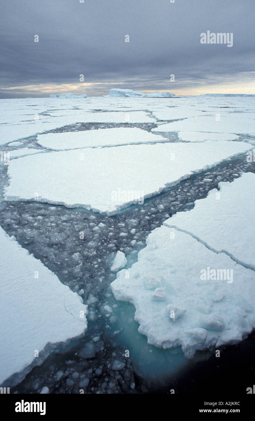 Antarctica. Pack Ice Stock Photo - Alamy