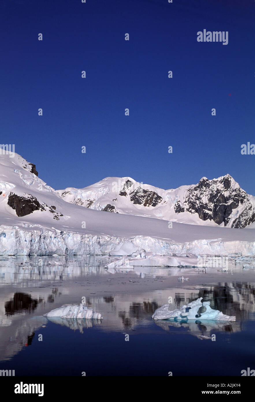 Antarctica. Icebergs and ice-covered mountains Stock Photo - Alamy